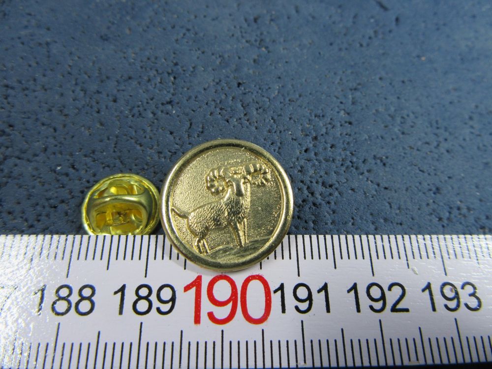 TIERKREISZEICHEN SCHMUCK-PIN GOLDIG GEPRÄGT (Gebraucht) in Ettingen für CHF 0.95 – mit Lieferung ...