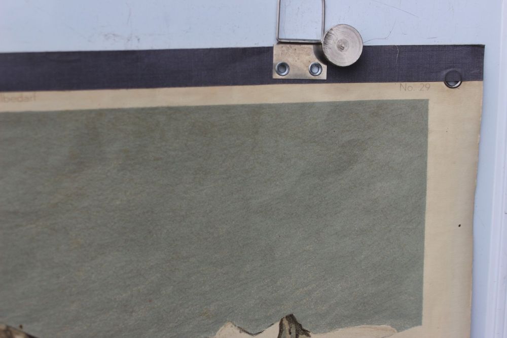 ⭐Schulwandbild Gletscher (Tschierva-Rosegg) Viktor Surbek @s (Gebraucht ...