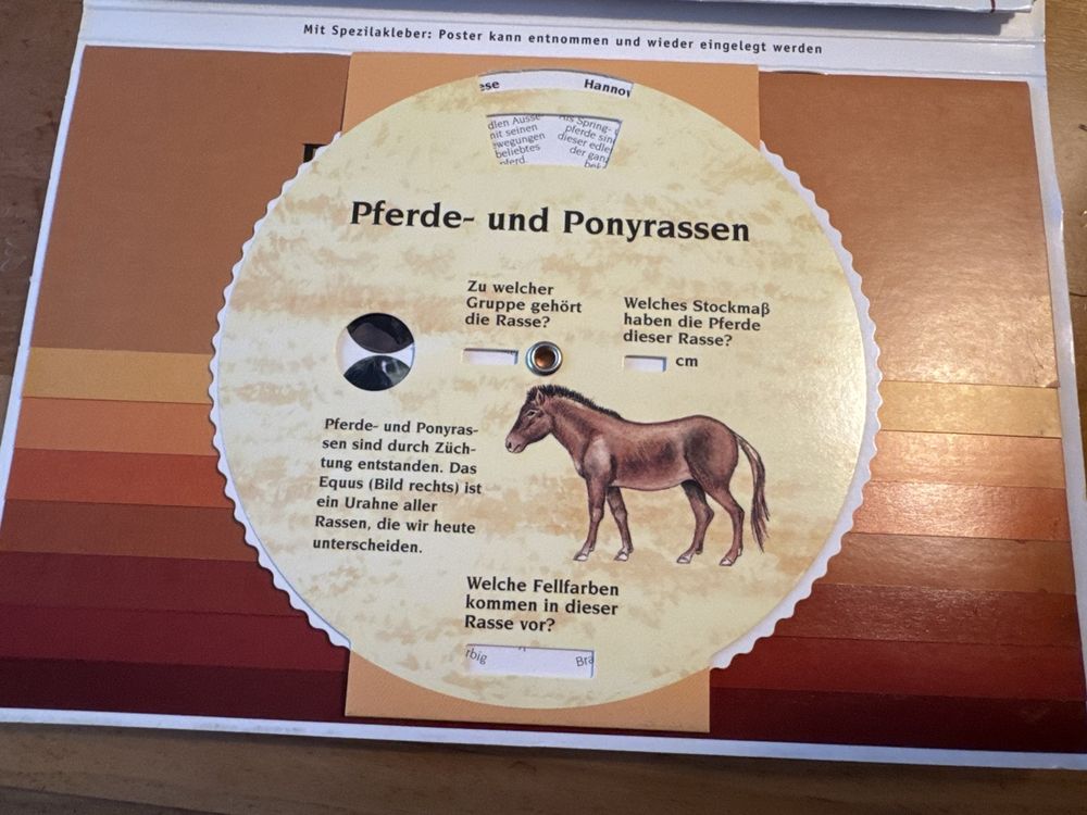Pferde-Poster: 3 in 1 Wissen für kleine Pferdefreunde! (58) (Gebraucht ...