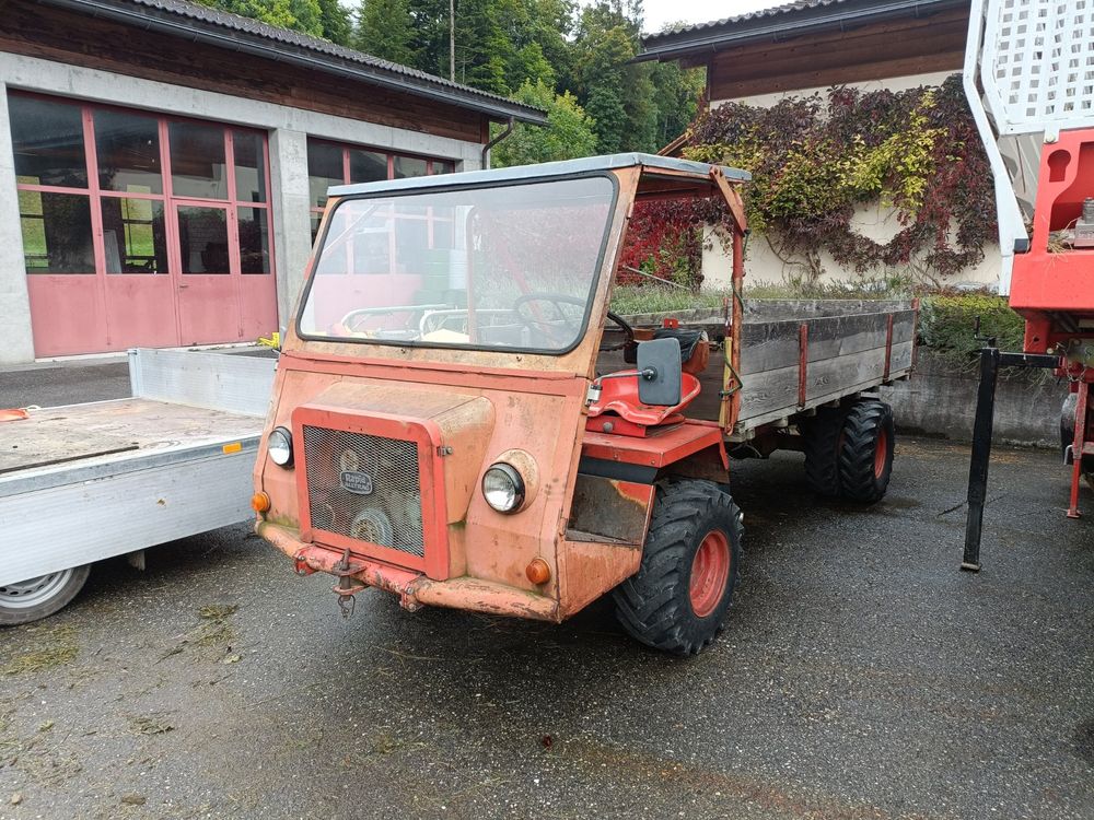 Rapid 1250 (Gebraucht) in Pragg-Jenaz für CHF 510 – nur Abholung auf Ricardo kaufen