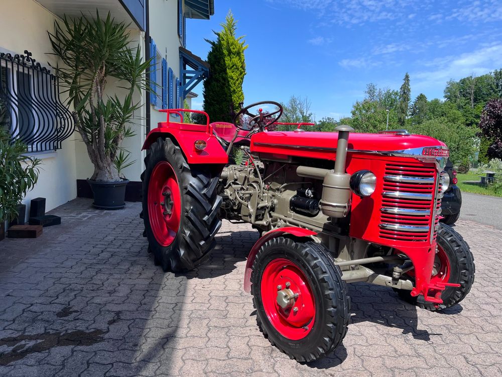 Hürlimann D70 Traktor Veteranen geprüft (Gebraucht) in Reitnau für CHF 5600 – nur Abholung auf ...
