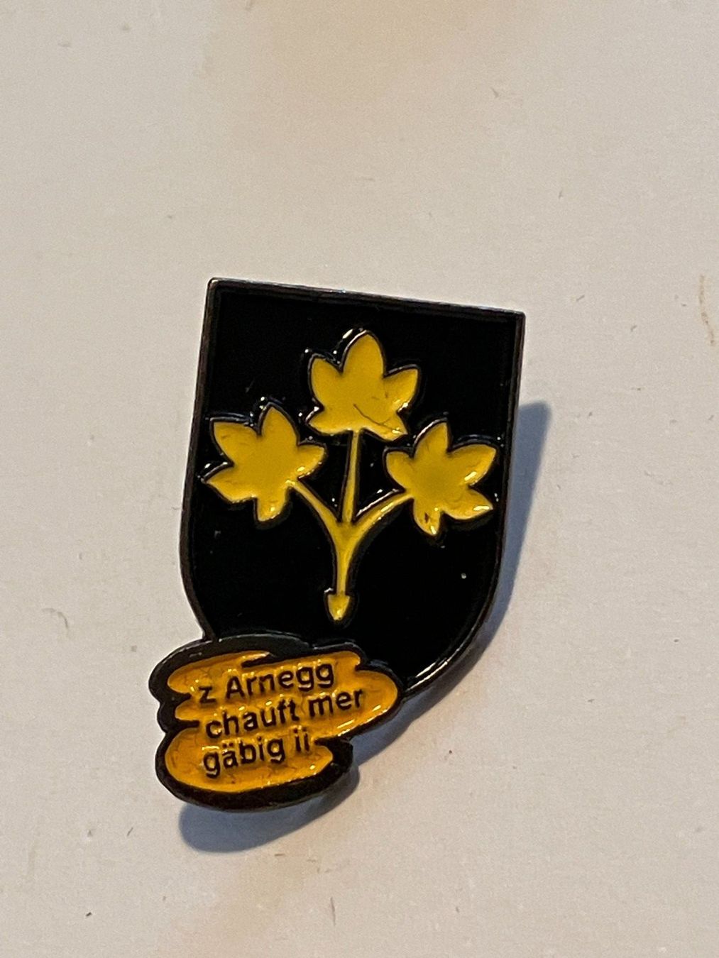 1 Pin Z Arnegg chauft mer gäbig ii (Gebraucht) in Basel für CHF 1 – mit ...