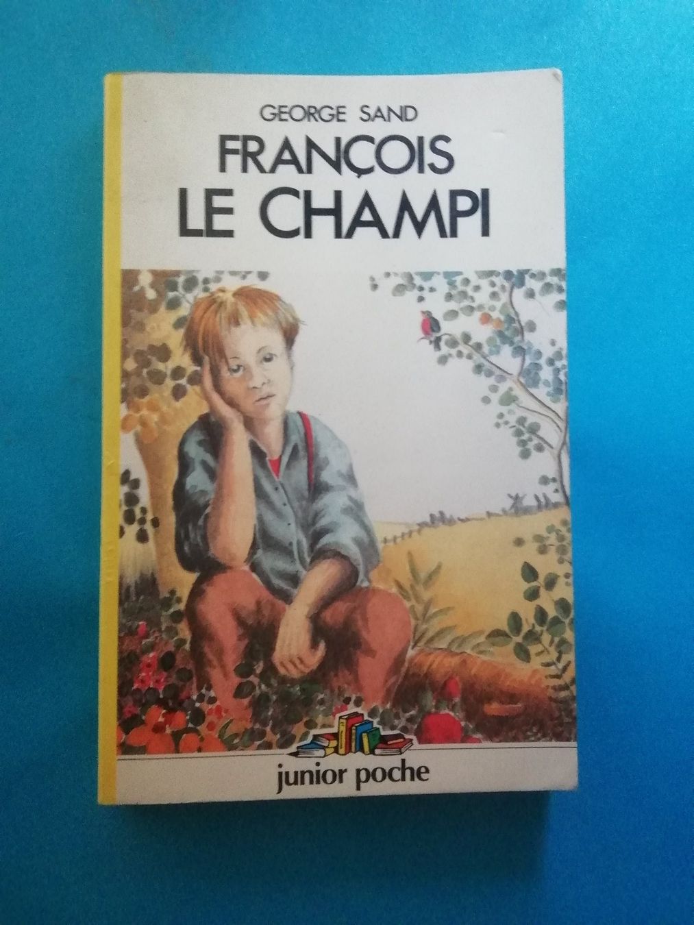 François le Champi, George Sand, Junior Poche, Vintage📚! (D'occasion) à ...