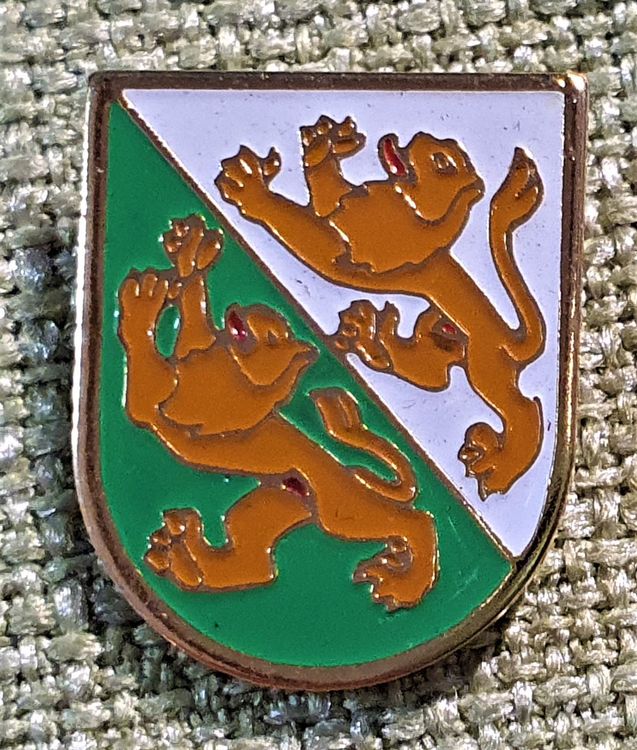 N222 - Pin Schweizer Kantonswappen - Thurgau (Gebraucht) in Reinach BL für CHF 2 – mit Lieferung ...