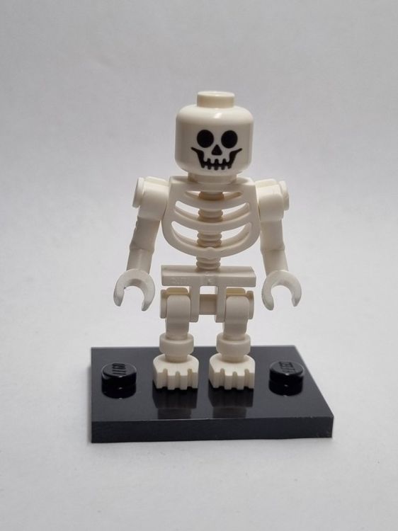 LEGO Ninjago gen069 Skeleton with Standard Skull (Gebraucht) in ...