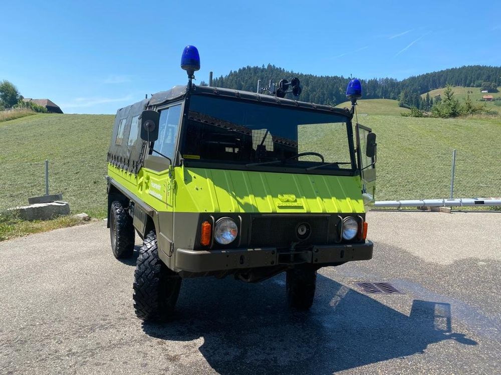 Steyer-Puch Pinzgauer 710 | Kaufen auf Ricardo