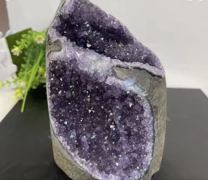 Wunderschöne Amethyst Druse Natürlich💜 Neu! 600-700 g (Neu und originalverpackt) in Frauenfeld ...