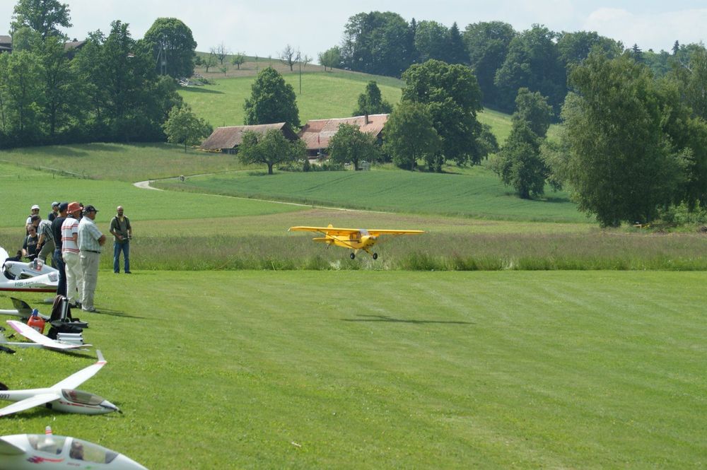 Piper Super Cub Toni Clark 2.8m ab1.- | Kaufen auf Ricardo