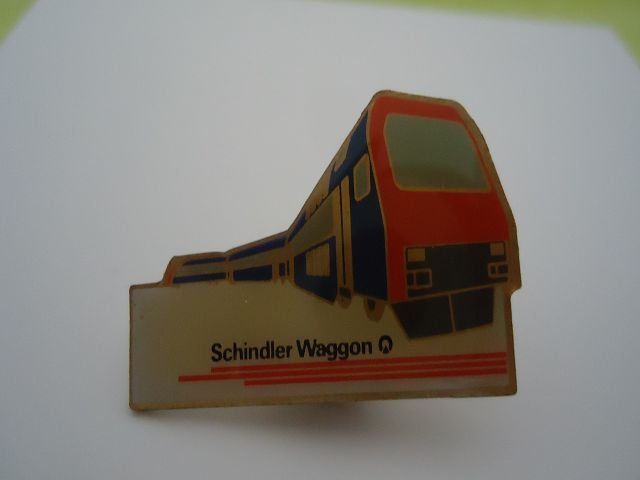 PIN S BAHN Zürich DPZ Schindler (Gebraucht) in Ergisch für CHF 3 – mit ...