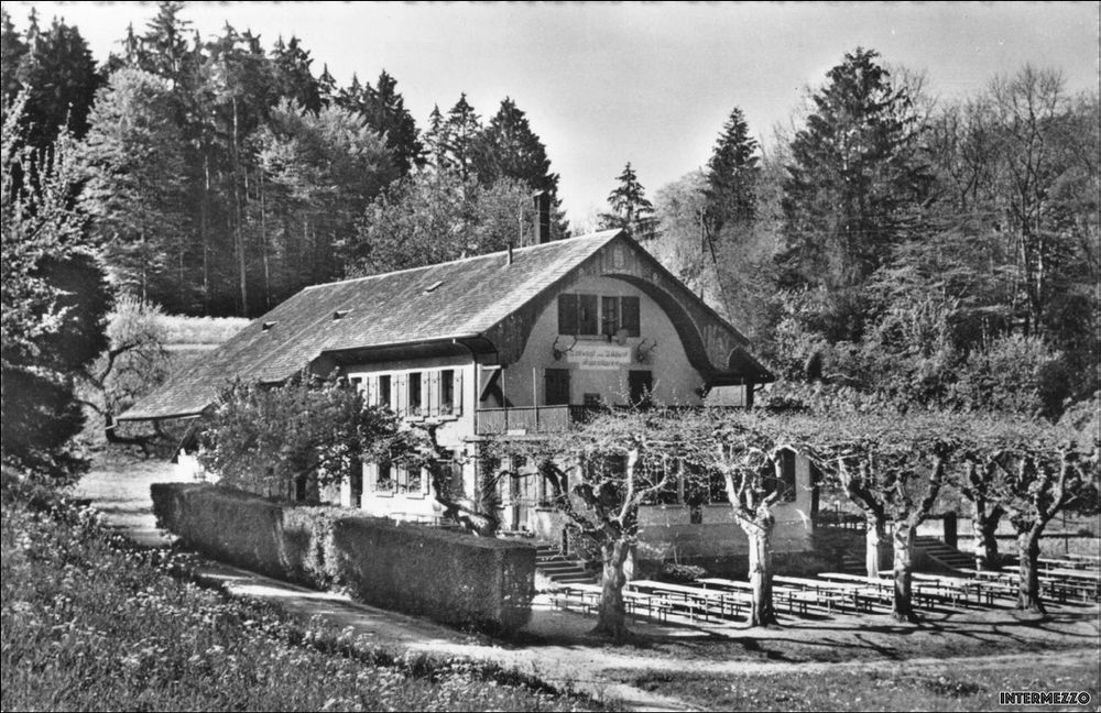 Aarau // Restaurant Wildpark Roggenhausen (Gebraucht) in Basel für CHF 12 – mit Lieferung auf ...