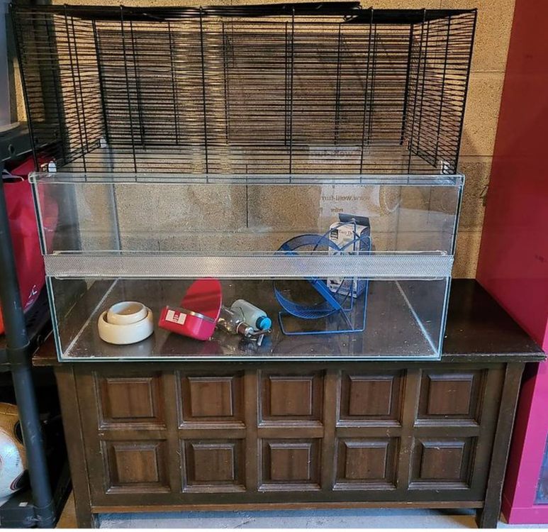 Cage en verre/grillage pour rongeurs ou autre, avec meuble | Kaufen auf ...