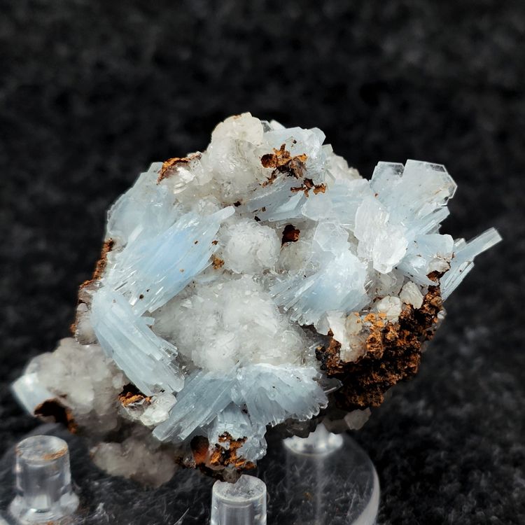 ANGEBOT! Wappen aus BLAUEM BARIT auf WEISSEM BARIT, elegant | Kaufen ...