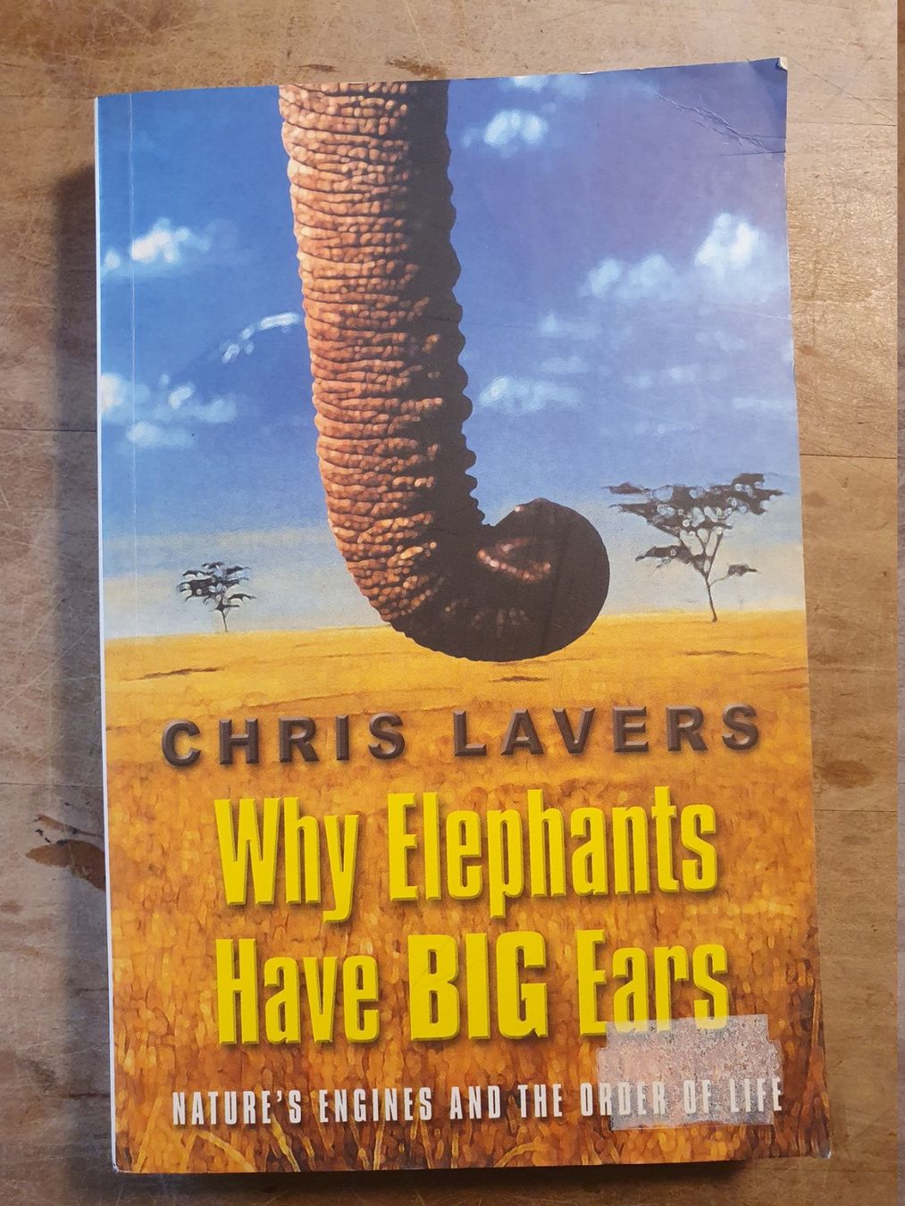 Why Elephants have BIG Ears Chris Lvaers Phoenix (Gebraucht) in Zürich ...