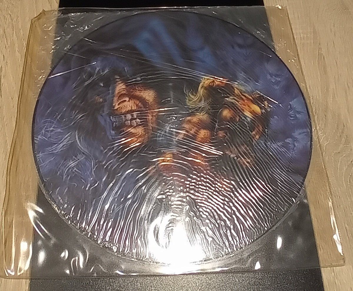 Warlock – Picture Disc Vinyl – Doro Pesch – Sammlerstück (Gebraucht) in ...