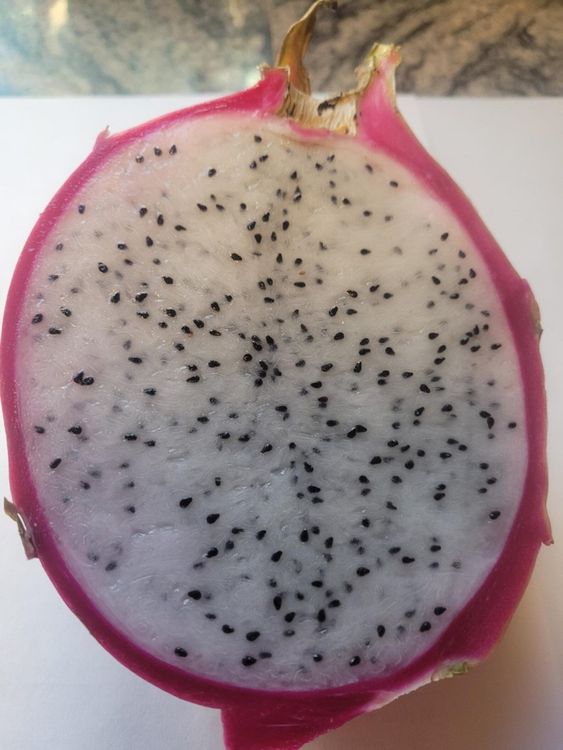 Rote Drachenfrucht, Pitahaya - Hylocereus undatus - 50 Samen (Neu und ...