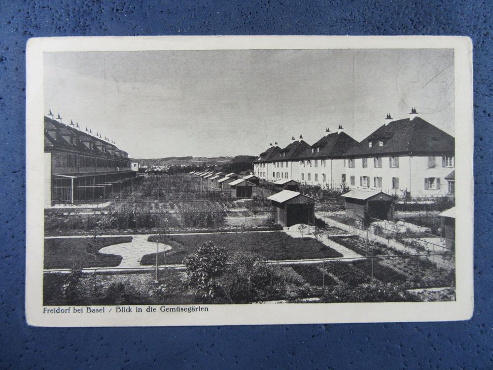 MUTTENZ BL FRIEDORF B.BASEL GEMÜSEGÄRTEN STEMPEL FREIDORF (Gebraucht ...