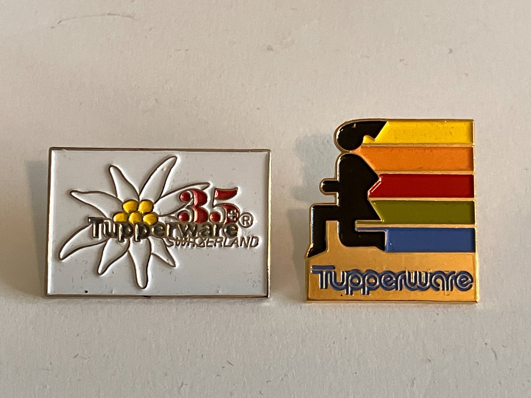 2 Pin Tupperware (Gebraucht) in Basel für CHF 1.5 – mit Lieferung auf ...