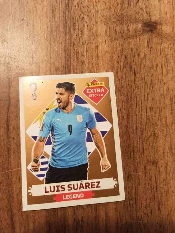 Panini WM Qatar 2022 | Kaufen auf Ricardo