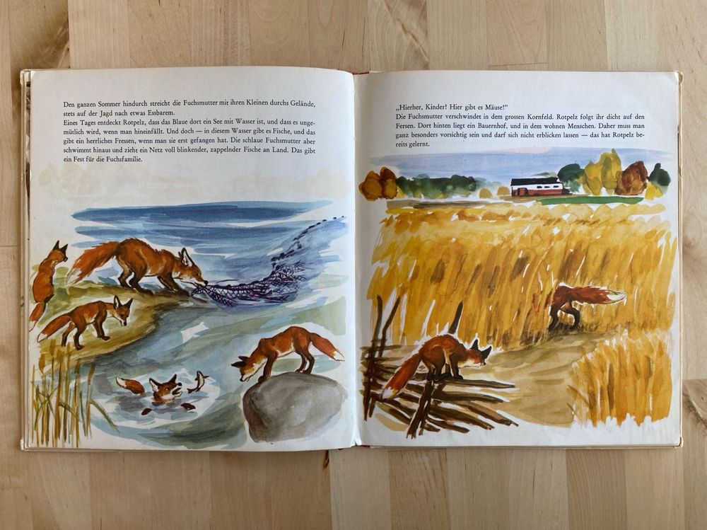 Bilderbuch Rotpelz der Fuchs Inga Borg (Gebraucht) in für CHF 6 – mit ...