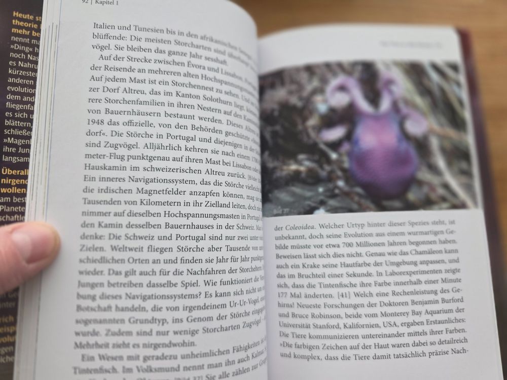 Alles Evolution oder was? Buch Erich von Däniken EvD (Gebraucht) in ...