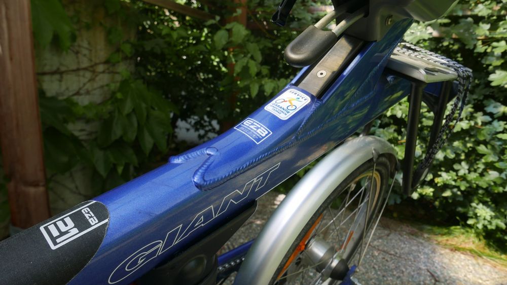 Giant Revive - ein besonderes Kultvelo (Gebraucht) in Uster für CHF 100 ...