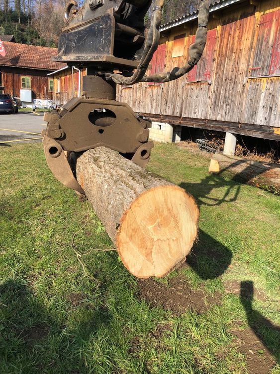 Holz Baumstamm Esche (Gebraucht) in für CHF 60 – nur Abholung auf ...