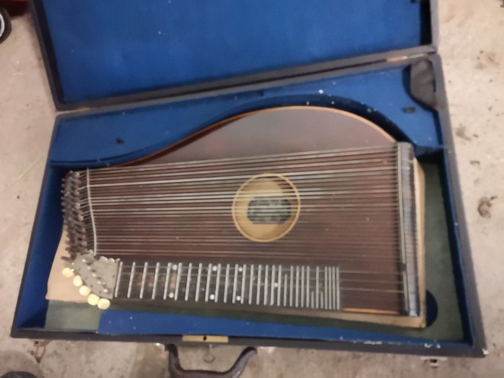 Zitter (Gebraucht) in Waldstatt für CHF 50 – nur Abholung auf Ricardo ...