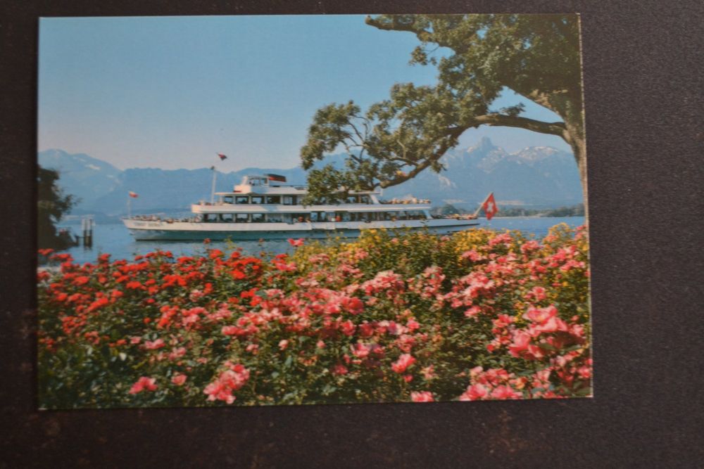 AK Thunersee bei Oberhofen (Gebraucht) in Beinwil am See für CHF 4 – mit Lieferung auf Ricardo ...