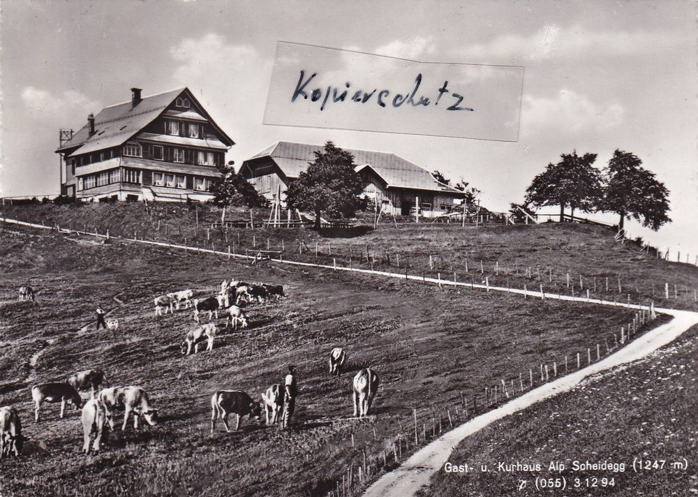 Wald Gast & Kurhaus Alp Scheidegg 1964 ZH (Gebraucht) in Büren NW für CHF 8 – mit Lieferung auf ...