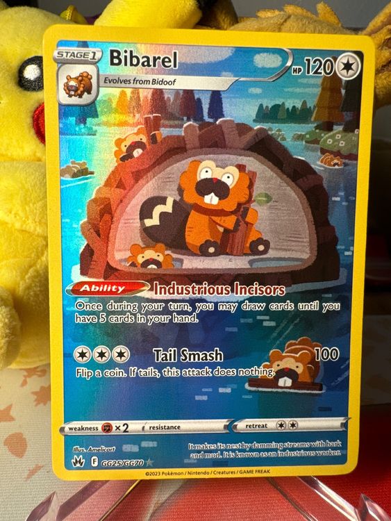 Pokemon Bibarel GG25 (EN) (Neu (gemäss Beschreibung)) in Thun für CHF 3 ...