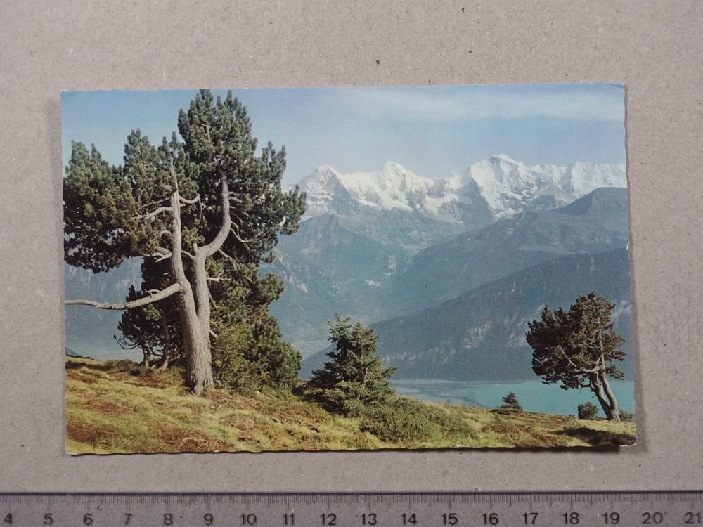 Eiger, Mönch, Jungfrau, von Beatenberg Niederhorn aus (Gebraucht) in Lenzburg für CHF 2 – mit ...