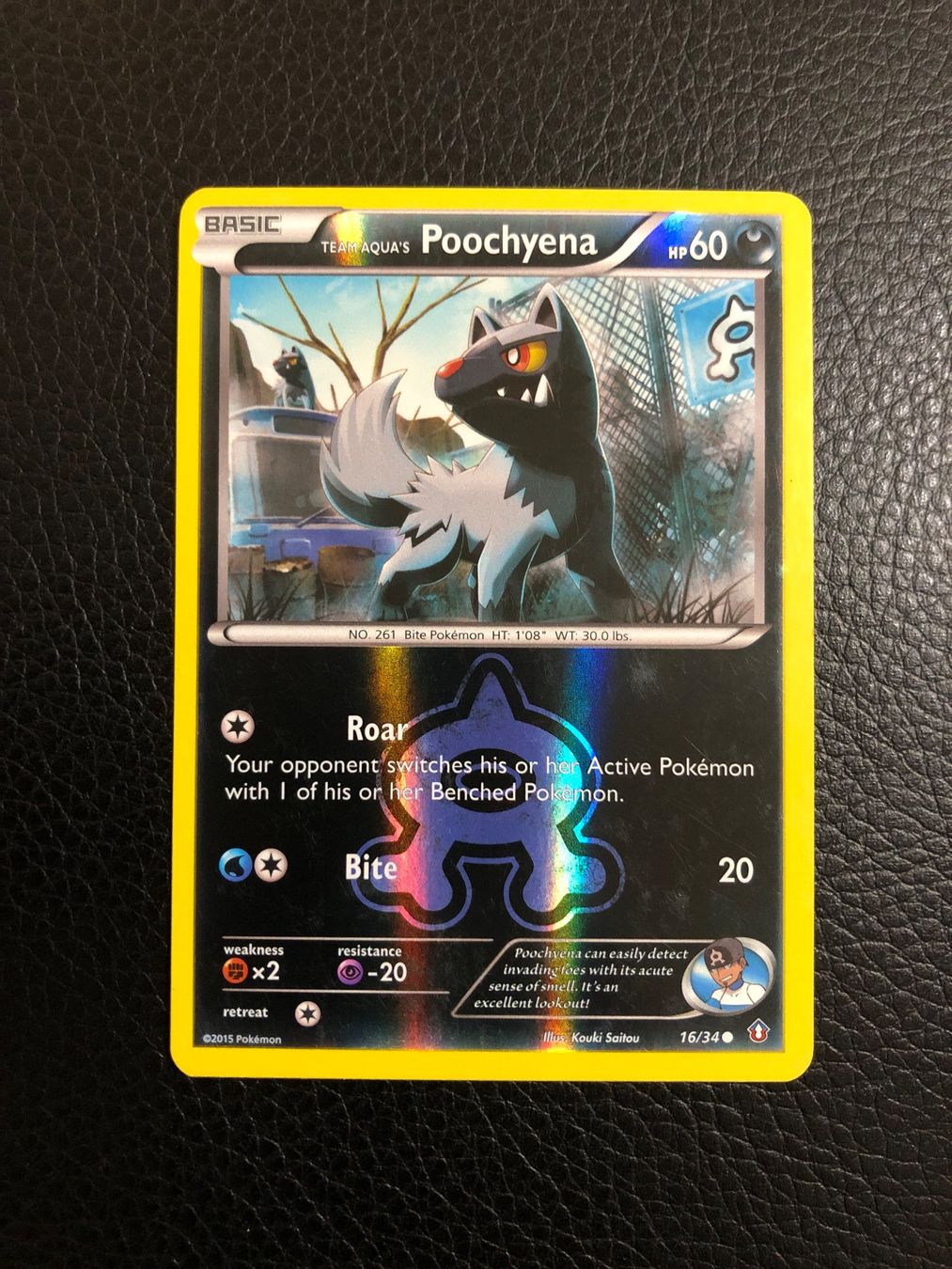 Double Crisis Team Aqua’s Poochyena reverse 16/34 Ab 1 (Gebraucht) in ...