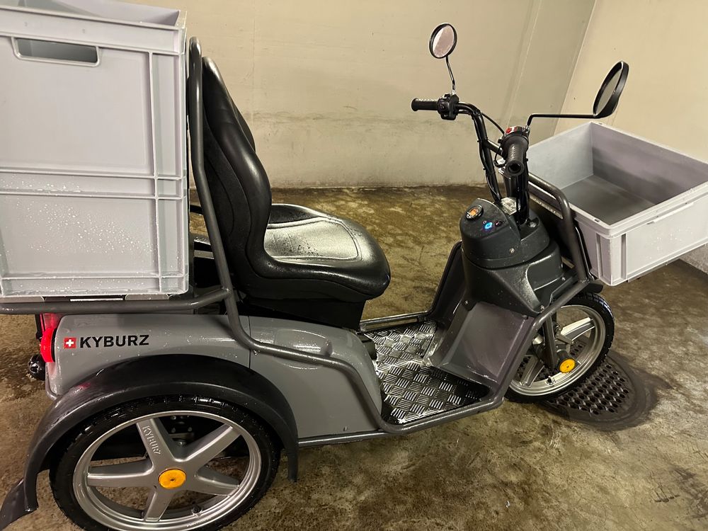 KYBURZ DXP 300AH ZUM VERKAUFEN | Kaufen auf Ricardo