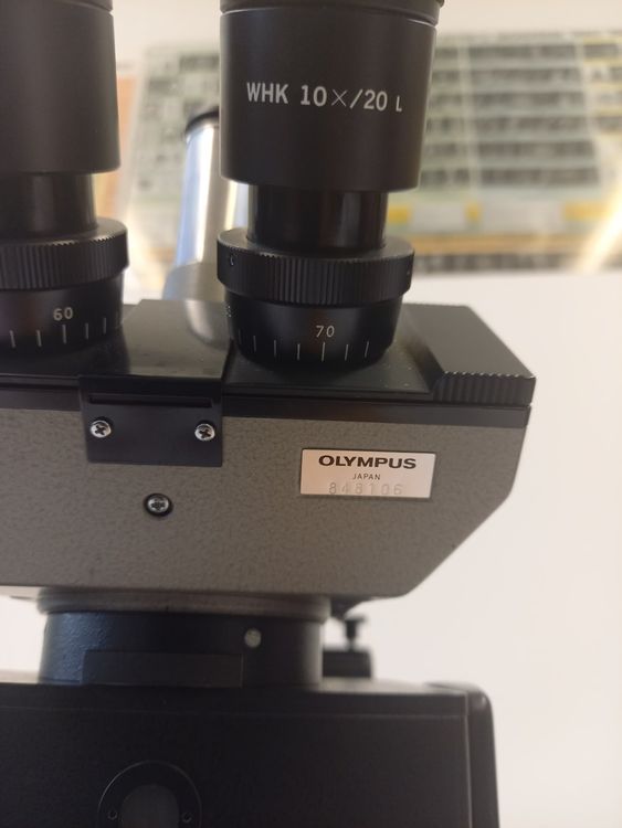 Microscopio/Mikroskop/Microscope Olympus serie CH (Gebraucht) in ...