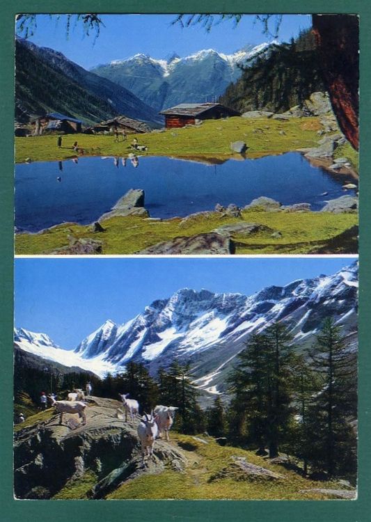 Lötschental, Fafleralp-Guggialp,1972 (Gebraucht) in Sargans für CHF 1 – mit Lieferung auf ...