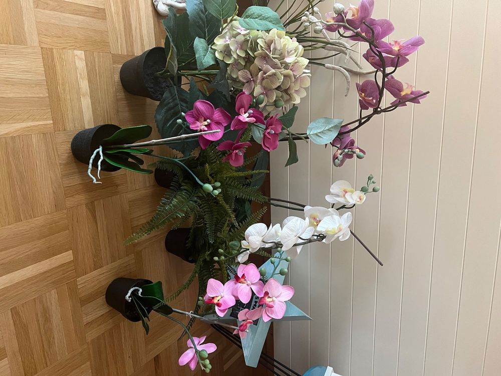 Luxus Orchideen Bertpfe Ikea Bilder