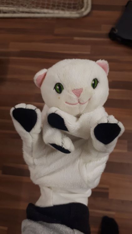 Handpuppe Katze | Kaufen auf Ricardo