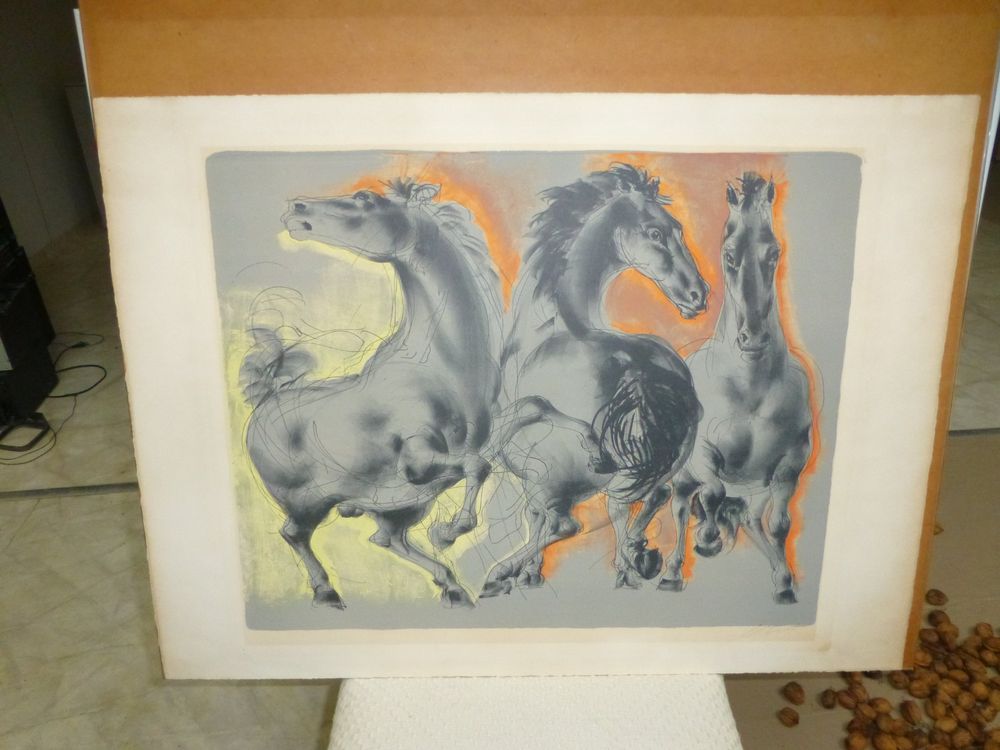 Farblithographie von Hans Erni signiert. (Gebraucht) in Ricketwil/ Winterthur für CHF 90 – nur ...