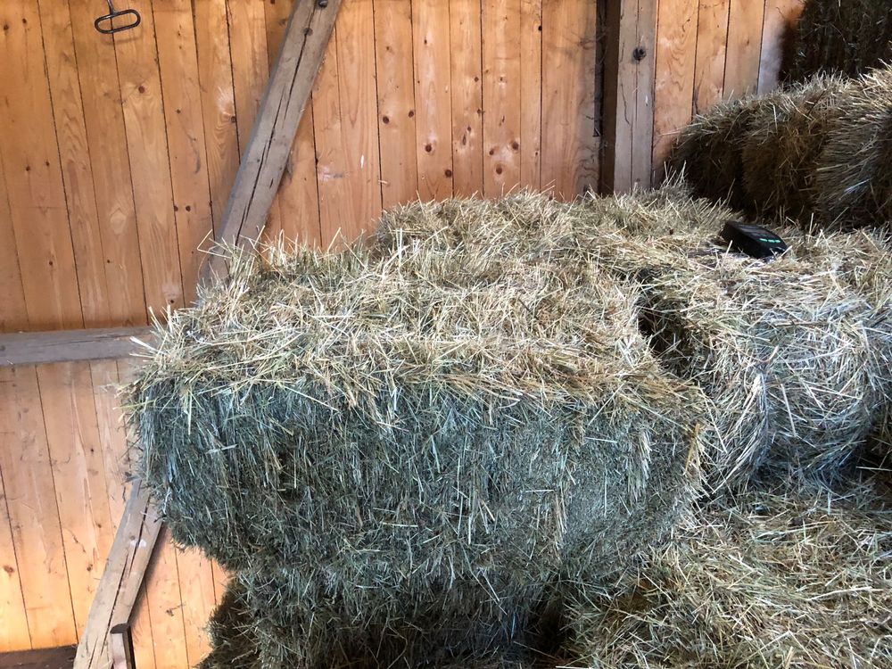 Heu in Kleinballen (Pferdeheu) (Neu und originalverpackt) in Embrach ...