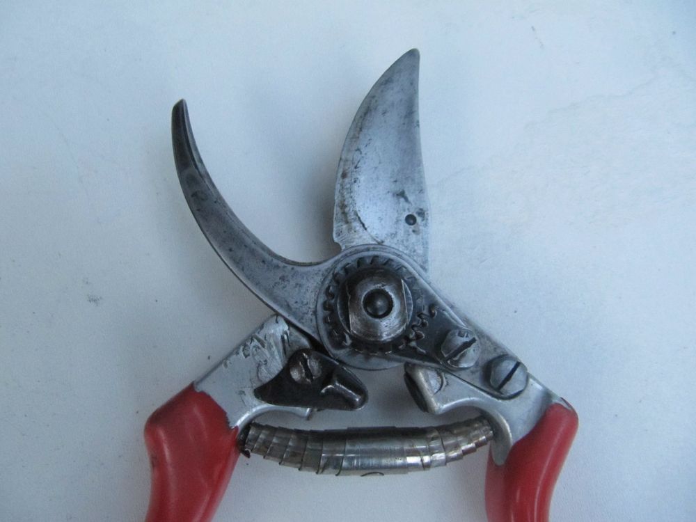 FELCO 8 Gartenschere / Rosenschere (Gebraucht) in Basel für CHF 24 ...