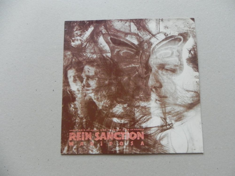 LP USA Grunge Alternativ Rock Band Rein Sanction 1992 (Gebraucht) in ...