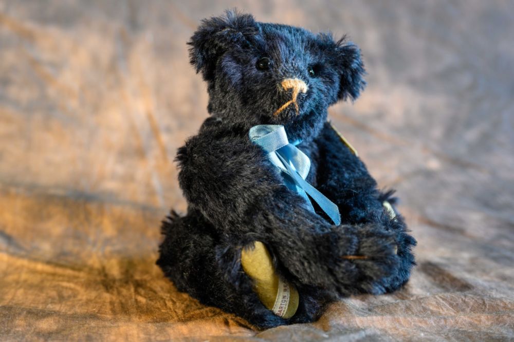 Teddy Barton Bears schwarz | Kaufen auf Ricardo