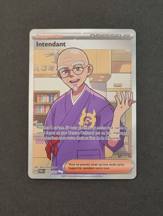 Pokémon - Intendant 203/167 - FR (Neuf (Voir description)) à Genève ...