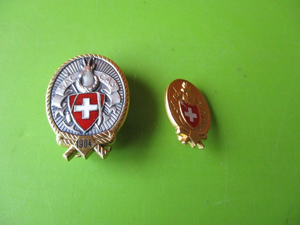 2 seltene SAC Anstecknadeln Abzeichen Pins (Gebraucht) in Ottikon ...