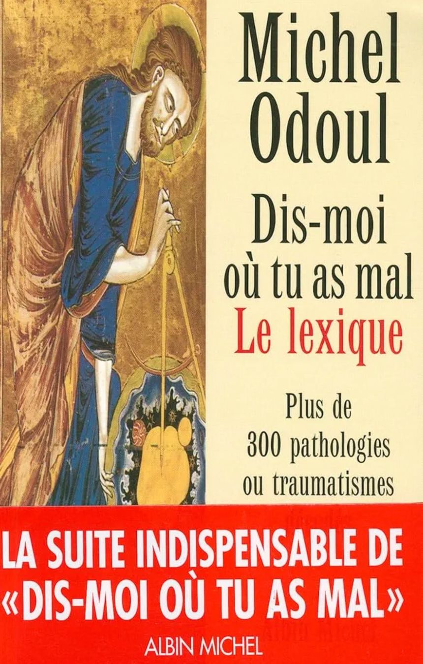 Dis-Moi Où Tu As Mal Le Lexique Plus De 300 Pathologies Ou T (Neuf avec ...