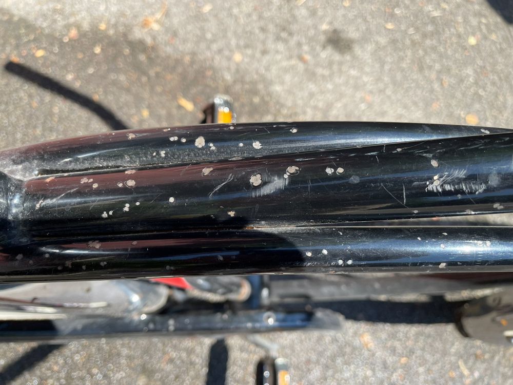 Schwinn Classic Cruiser - Vintage Velo für entspannte Fahrt! (Gebraucht ...