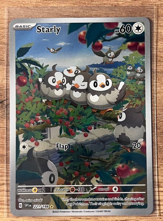 Starly ILLUSTRATION RARE 221/198 Pokemon Scarlet Violet (Gebraucht) in ...