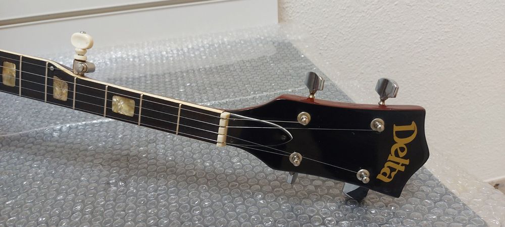 5-Strings Banjo Delta aus 90er Jahre Korean (Gebraucht) in Glattbrugg ...