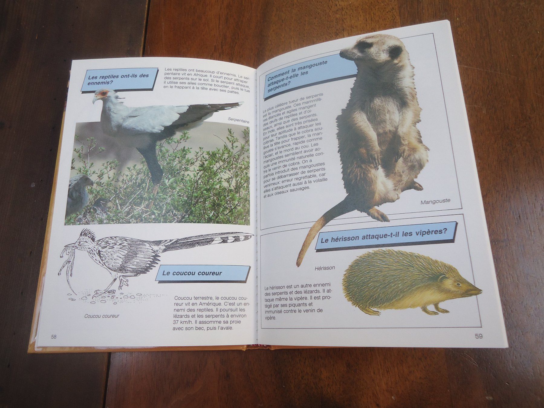 Le monde animal en questions et réponses (D'occasion) à Vessy pour CHF ...