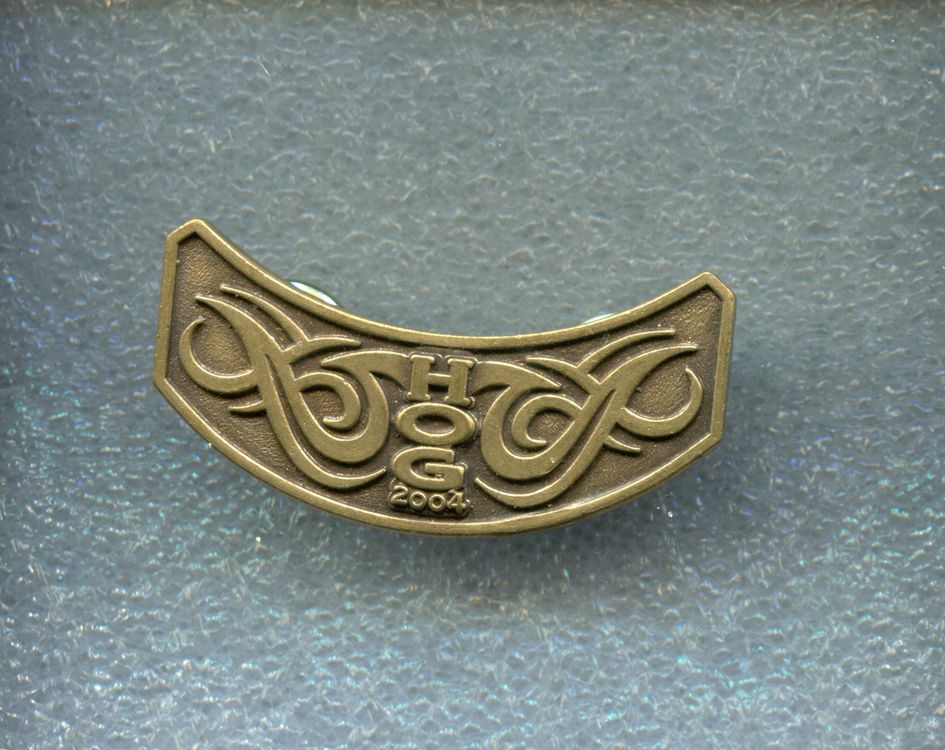 HOG HARLEY OWNERS GROUP 2004 (Gebraucht) in Winterthur für CHF 5 – mit ...